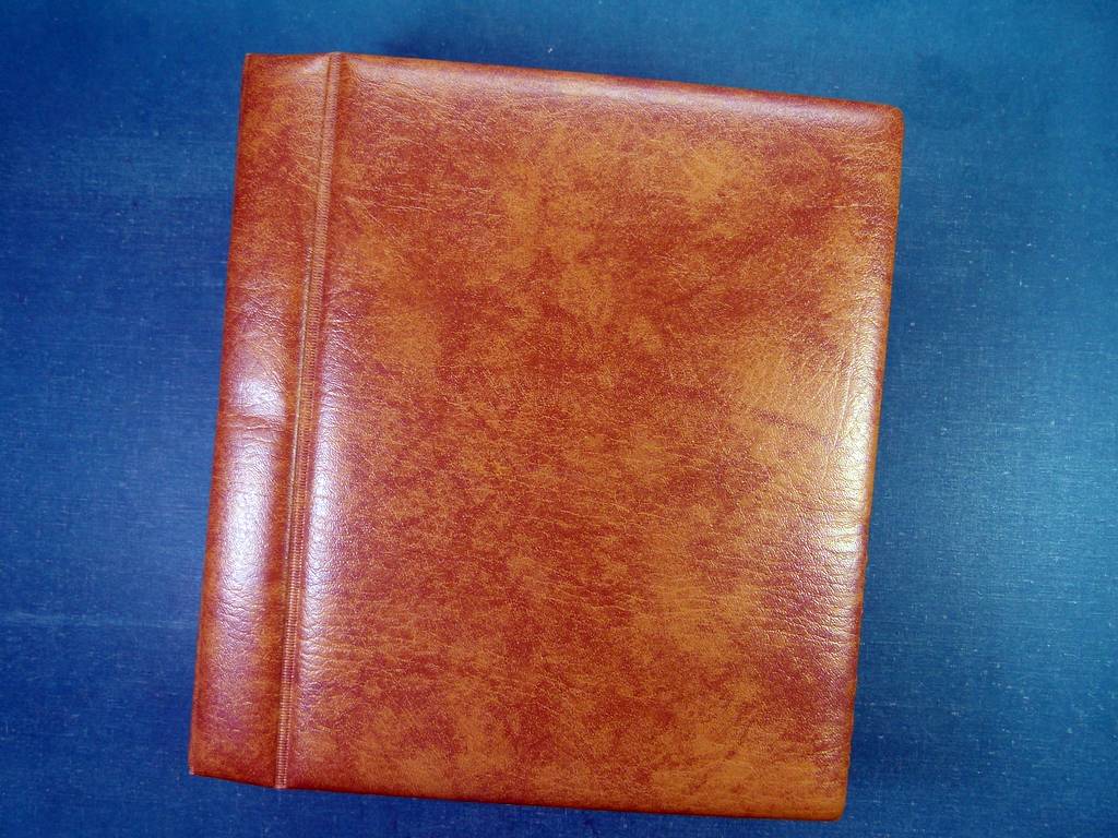 Collezione Mondo con Buste, cartoline, Interi Postali, Maximum, tematica cani.